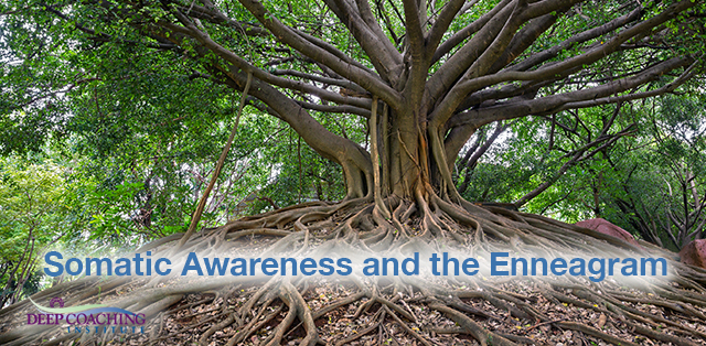 Somatic Awareness And The Enneagram 