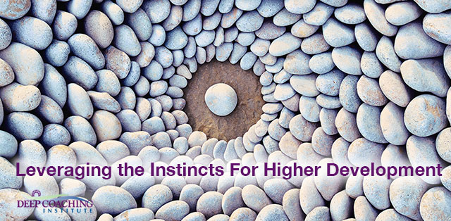 Leveraging the Instincts For Higher Development | Deep Coaching Institute